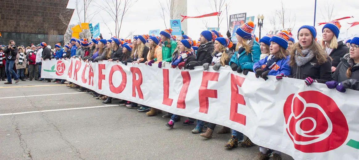 March for Life shows The Power of One - Arlington Catholic Herald
