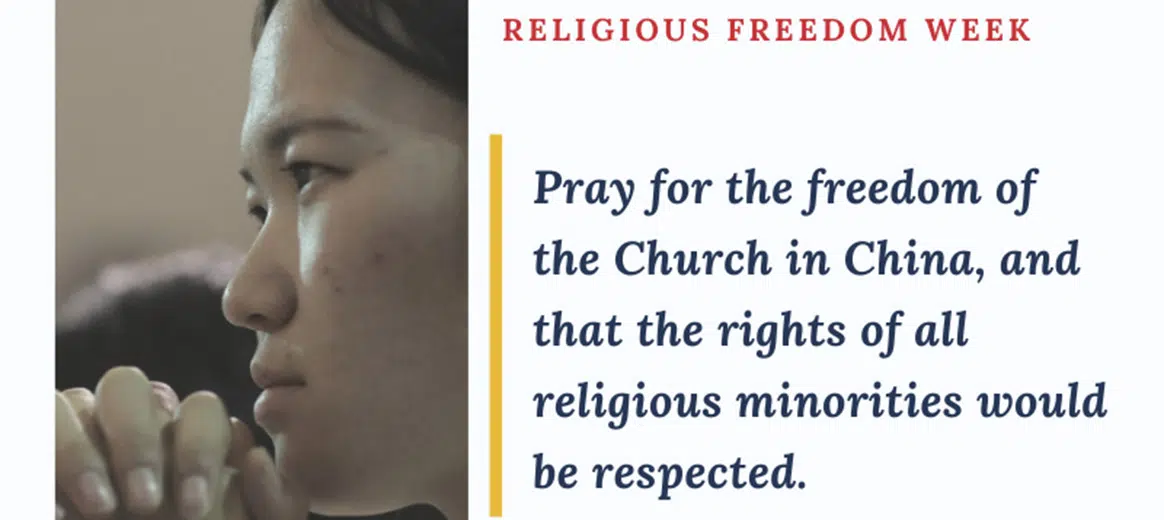 Religious Freedom Week highlights issues for Catholic prayer ...