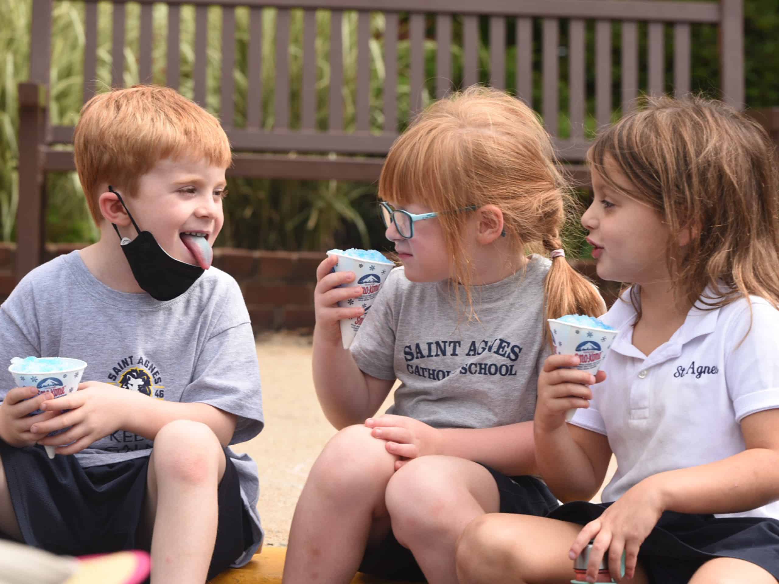 St. Agnes School in Arlington awarded the National Blue Ribbon ...