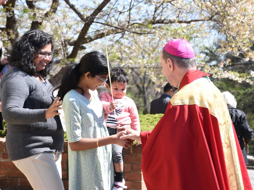 Faithful reminded to ‘Stay strong in faith and rejoice in hope’ on Palm ...