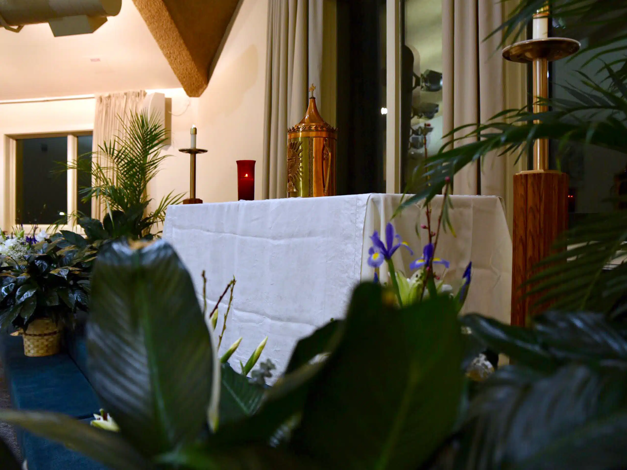 Visiting Jesus on Holy Thursday - Arlington Catholic Herald