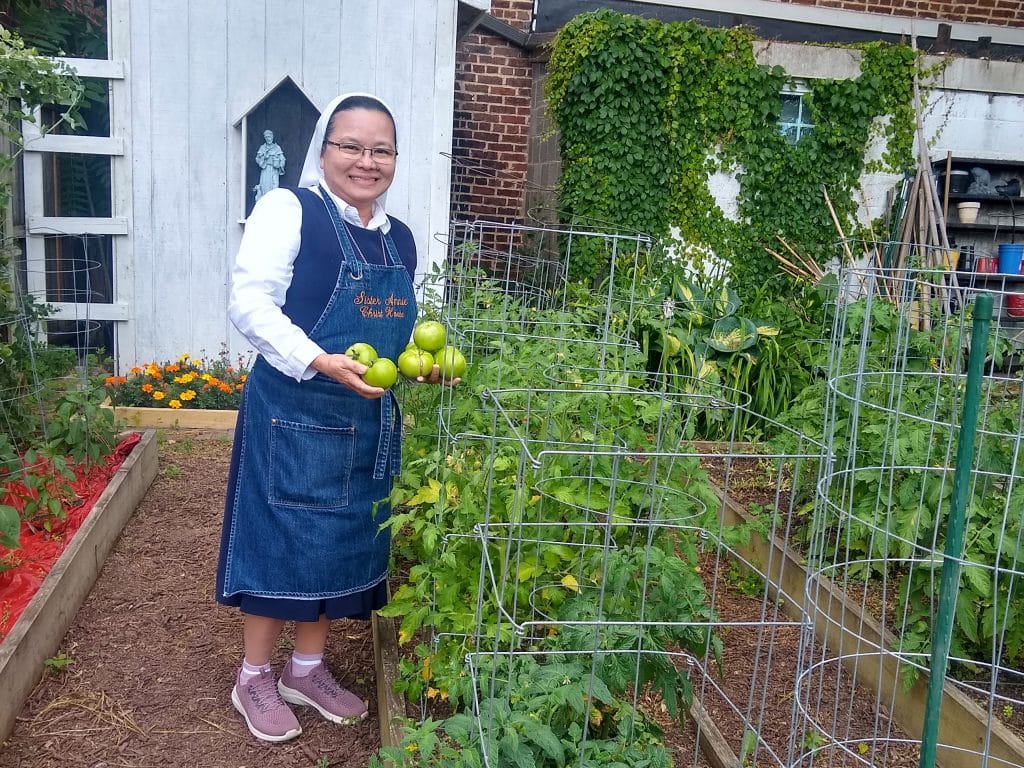 Christ House garden feeds the hungry - Arlington Catholic Herald