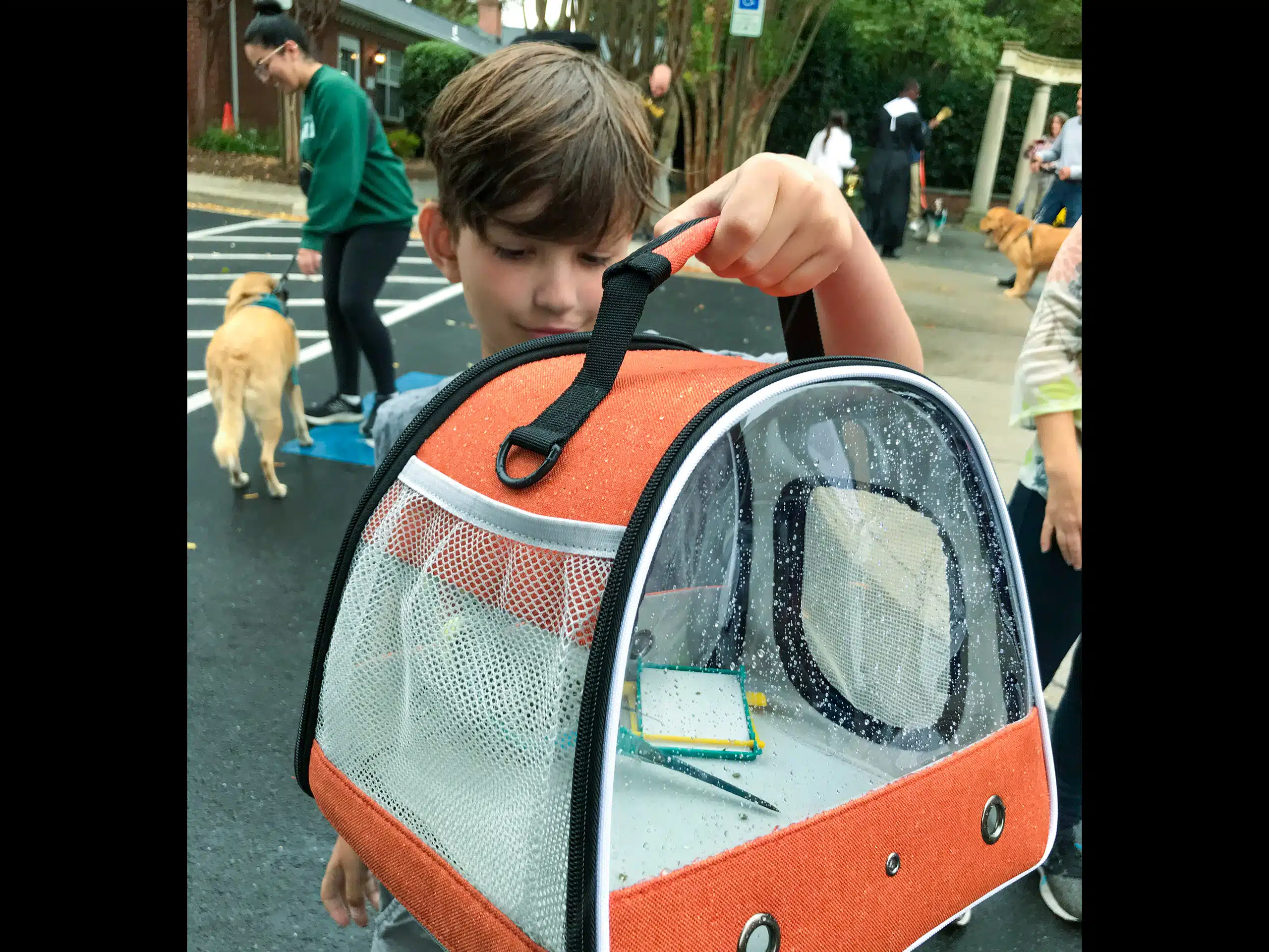 Rain doesn’t deter pets or owners from blessing - Arlington Catholic Herald