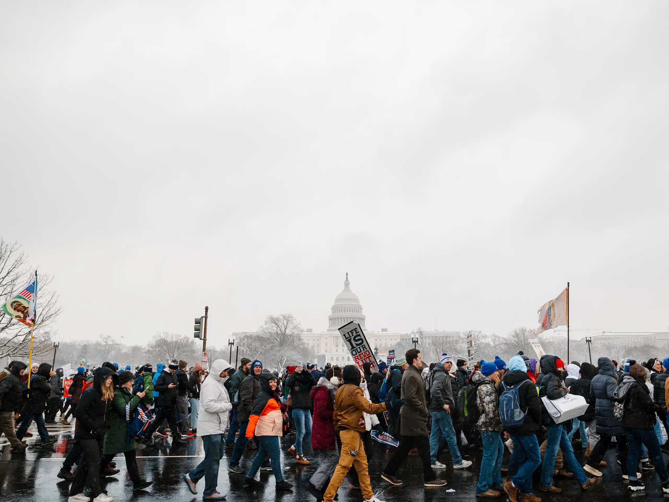March for Life 2024 - Arlington Catholic Herald