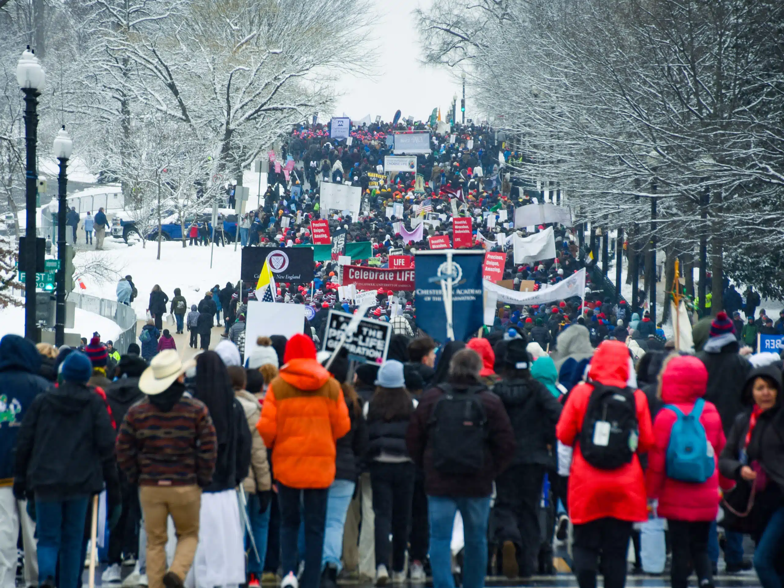 March for Life 2024 - Arlington Catholic Herald