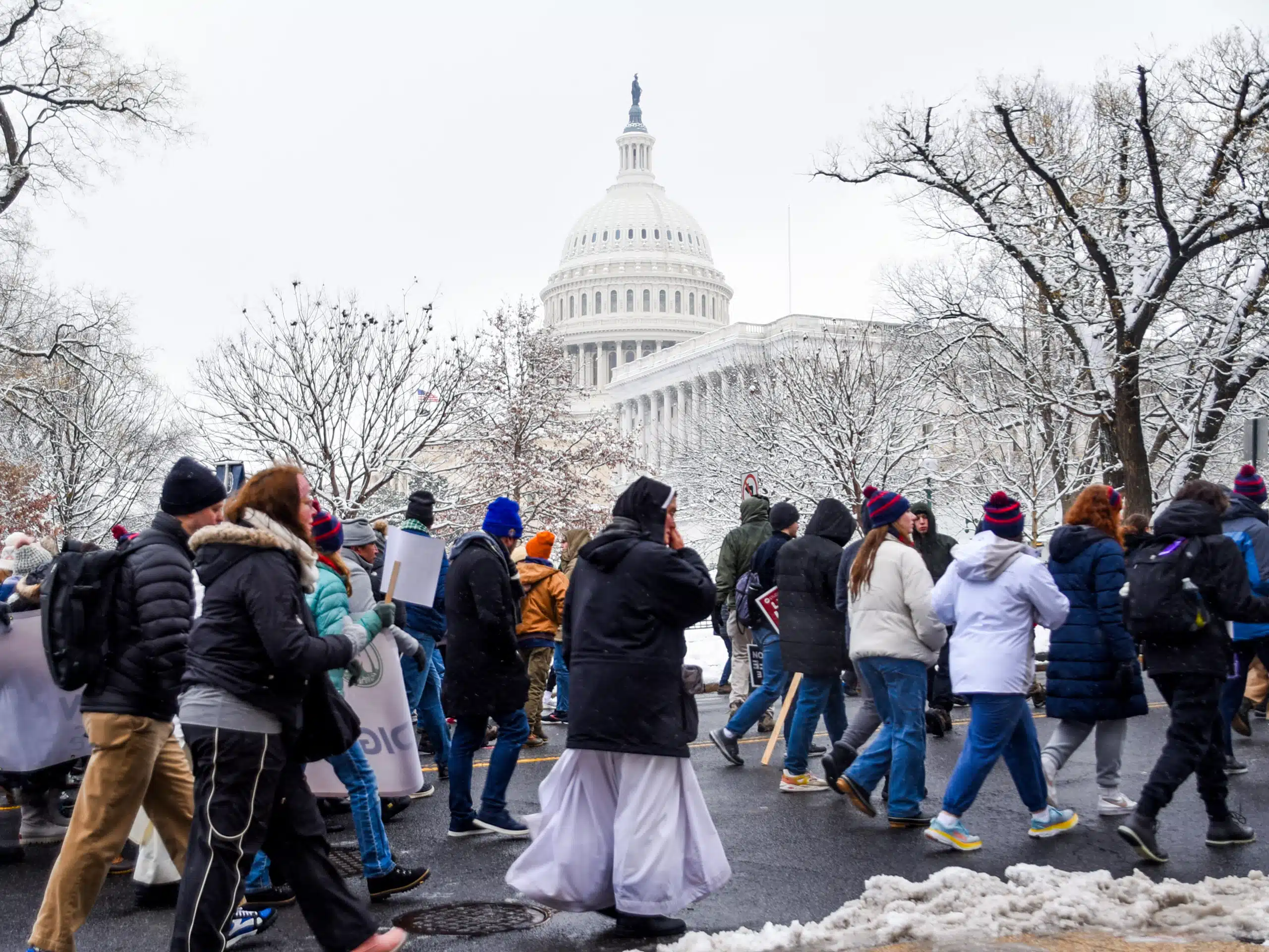 March for Life 2024 - Arlington Catholic Herald