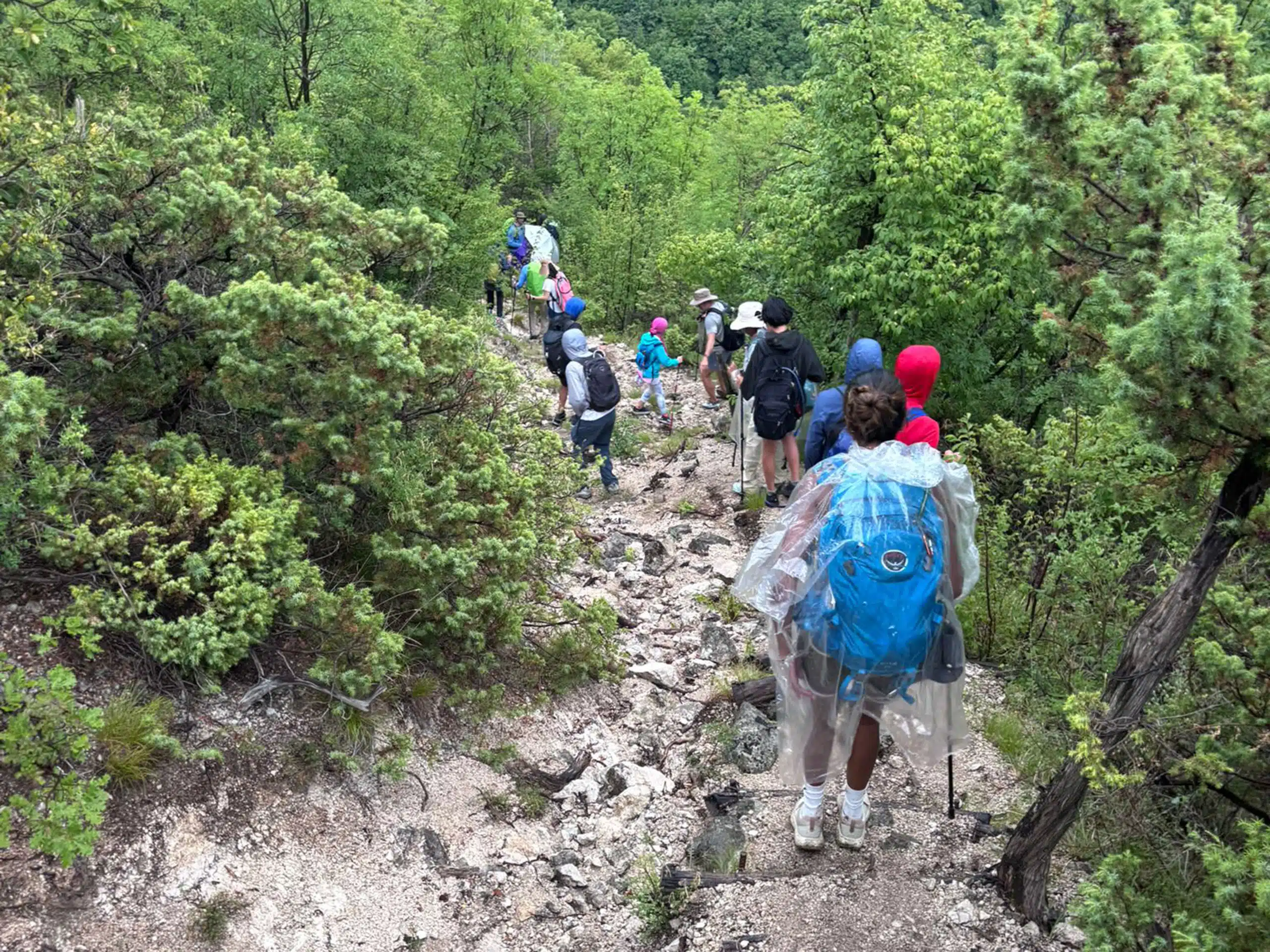 Diocesan pilgrims hike more than 130 miles from Assisi to Rome ...